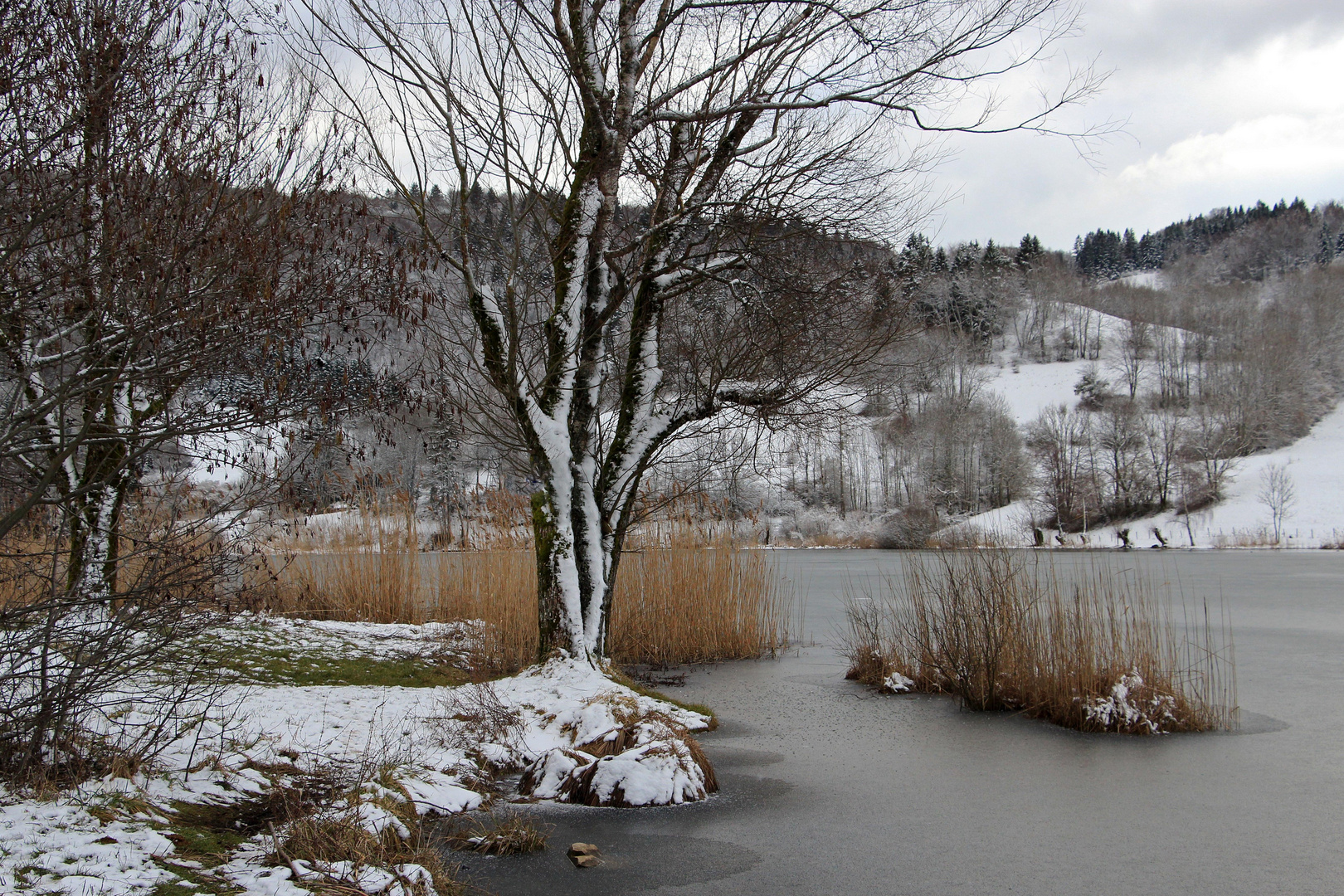 Lac de la Thuile gelé photo et image | nature, montagne, hiver Images ...