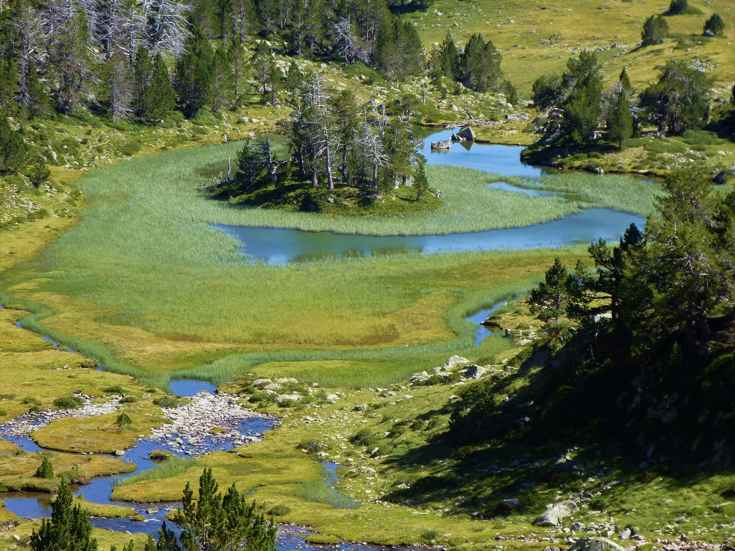 lac de l'ile photo et image | nature, paysages, pyrénées Images ...
