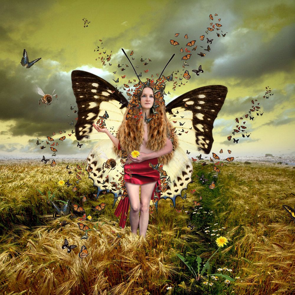 Lady Butterfly Foto & Bild | fotomontage, fantasy mystery, welten Bilder auf fotocommunity