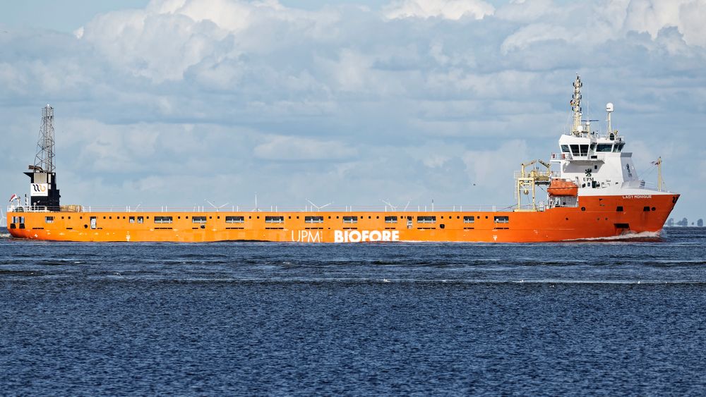 LADY MONIQUE (General Cargo/Container Ship) Foto & Bild | natur, herbst ...