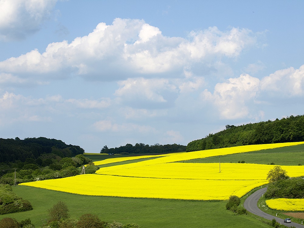 ländlich Foto & Bild | archiv projekte naturchannel, naturprojekte 2009 ...
