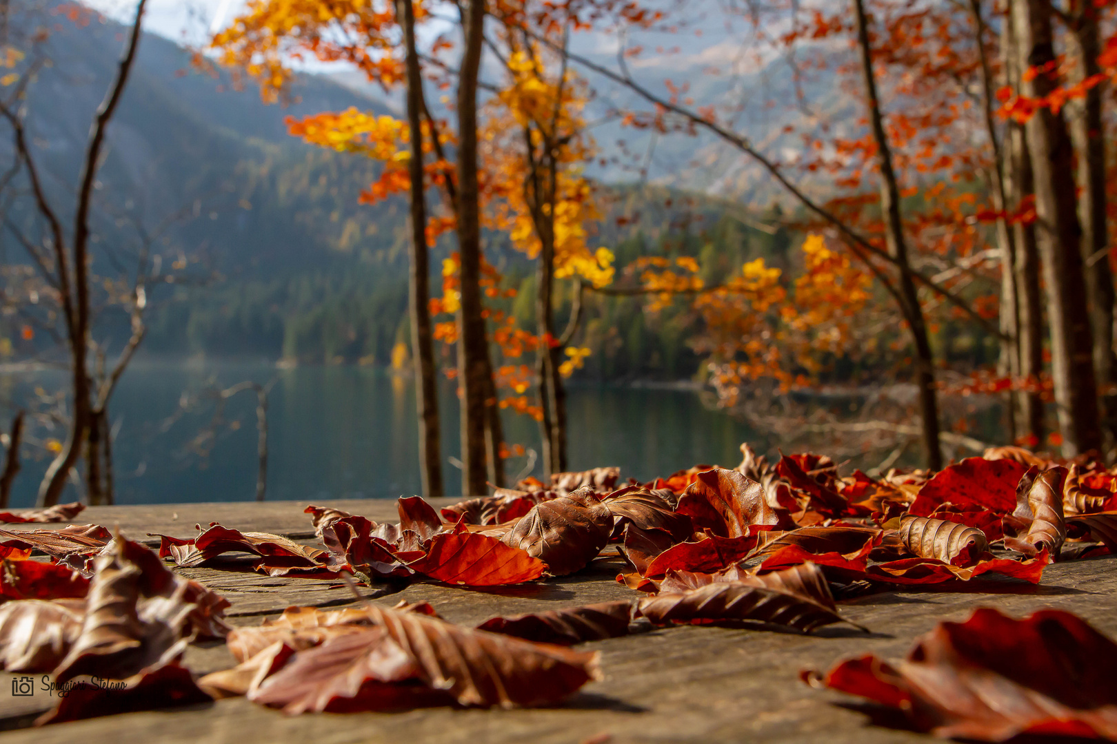 Lago d'autunno Foto % Immagini| paesaggi, laghi e fiumi, fotos Foto su fotocommunity