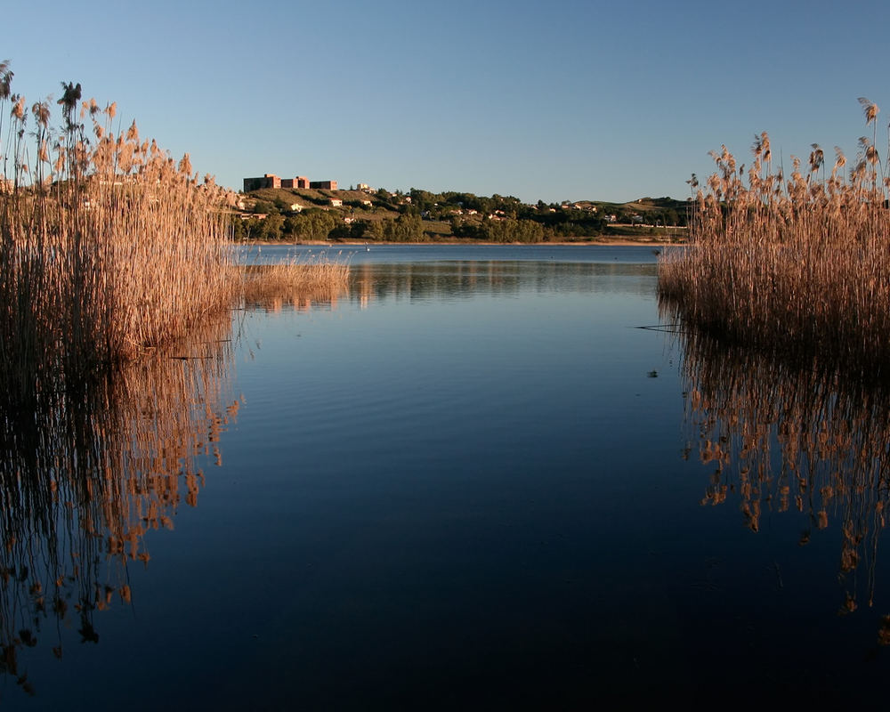 Lago di Pergusa Foto % Immagini| paesaggi, laghi e fiumi, natura Foto ...