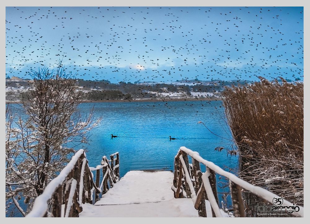 Lago di Pergusa Foto % Immagini| paesaggi, laghi e fiumi, fotos Foto su ...