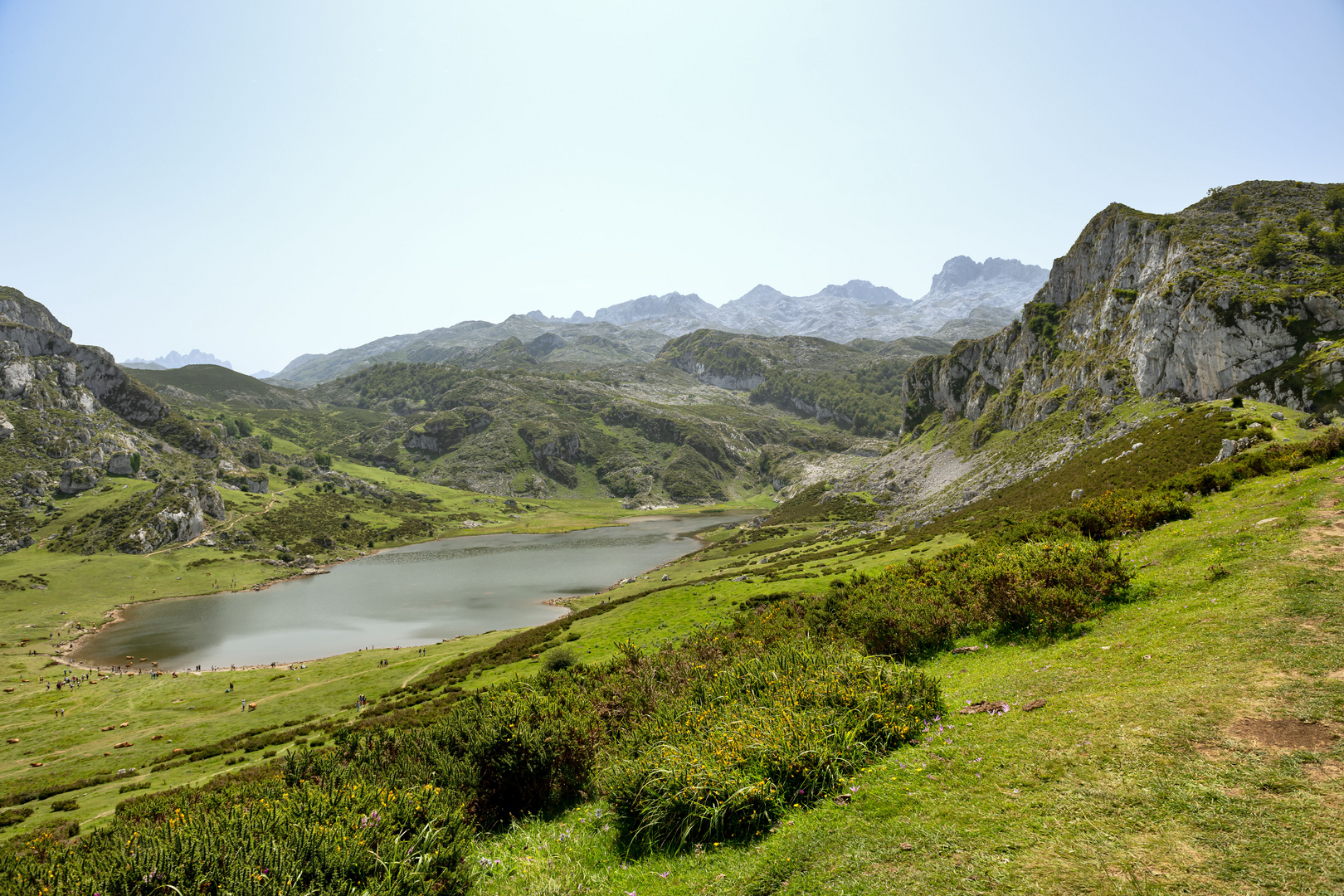 Lago Enol Foto & Bild | europe, spain, galizien & asturien Bilder auf ...