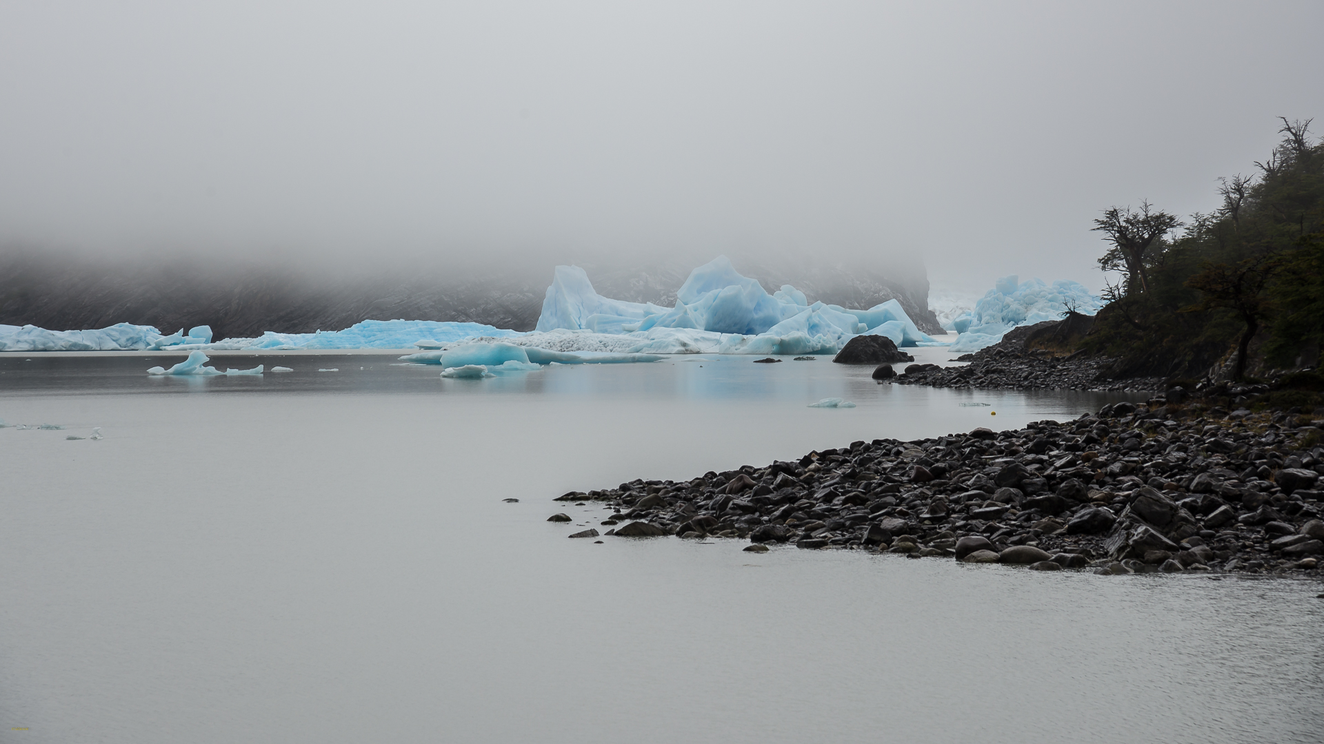 Lago Grey Foto & Bild | world, wasser, natur Bilder auf fotocommunity
