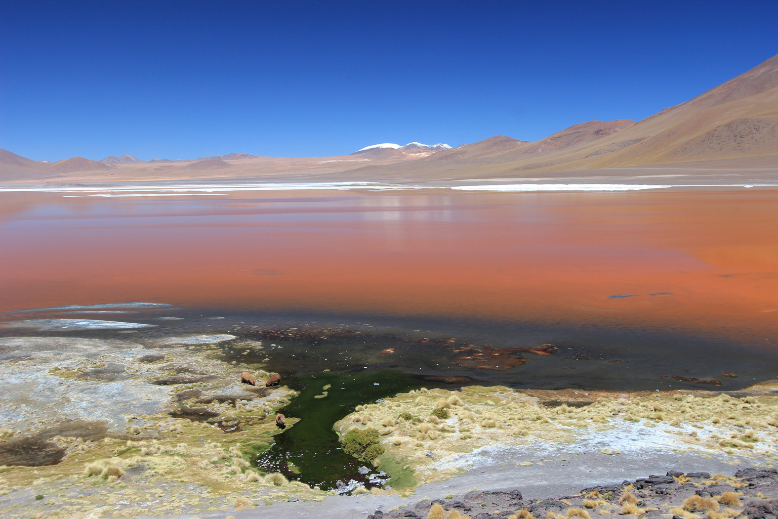 Laguna Colorada Foto & Bild | wasser, himmel, natur Bilder auf ...