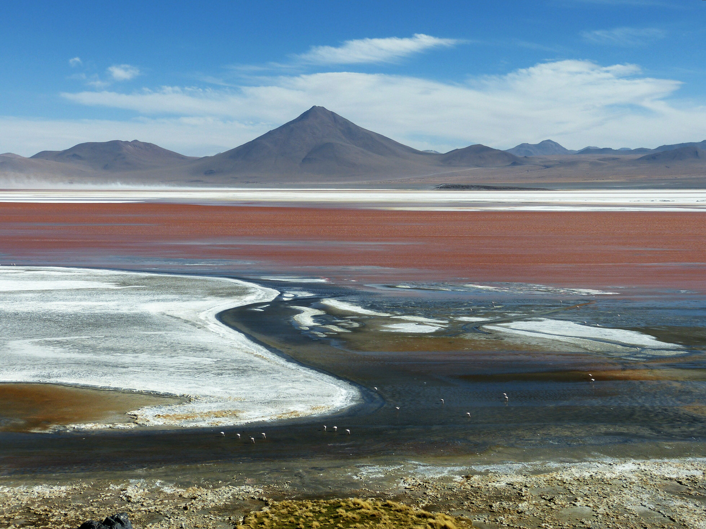 Laguna Colorada (Reload) Foto & Bild | south america, bolivia ...
