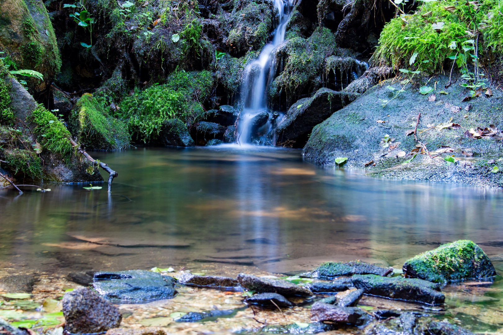 Lagune Foto & Bild | wald, wasser, baum Bilder auf fotocommunity