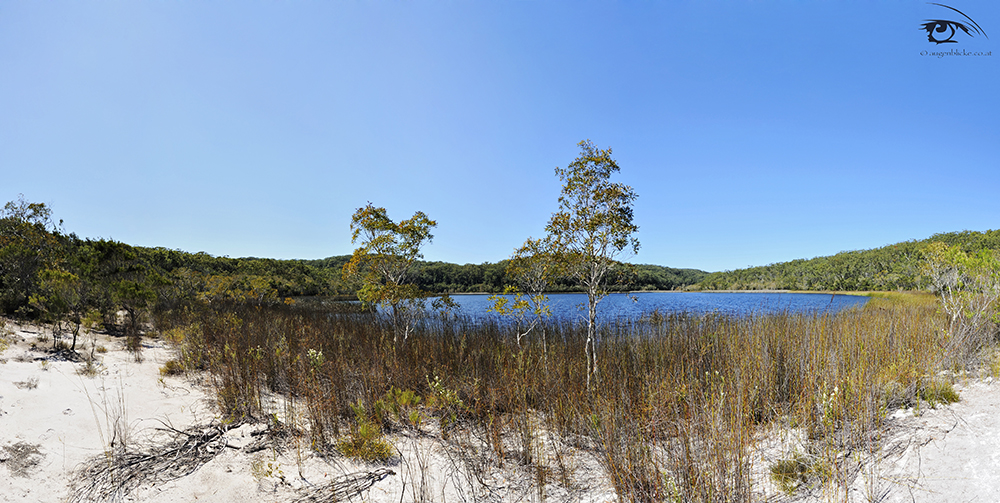 Lake Benaroon auf Fraser Island Foto & Bild | landschaft, bach, fluss ...