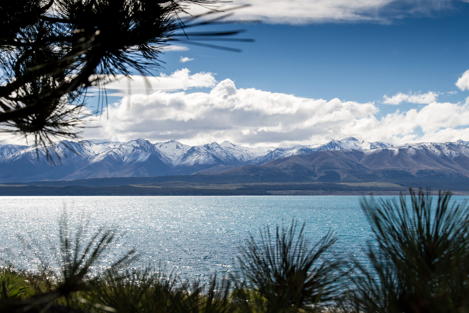 Lake Pukaki - NZ Foto & Bild | australia & oceania, new zealand ...