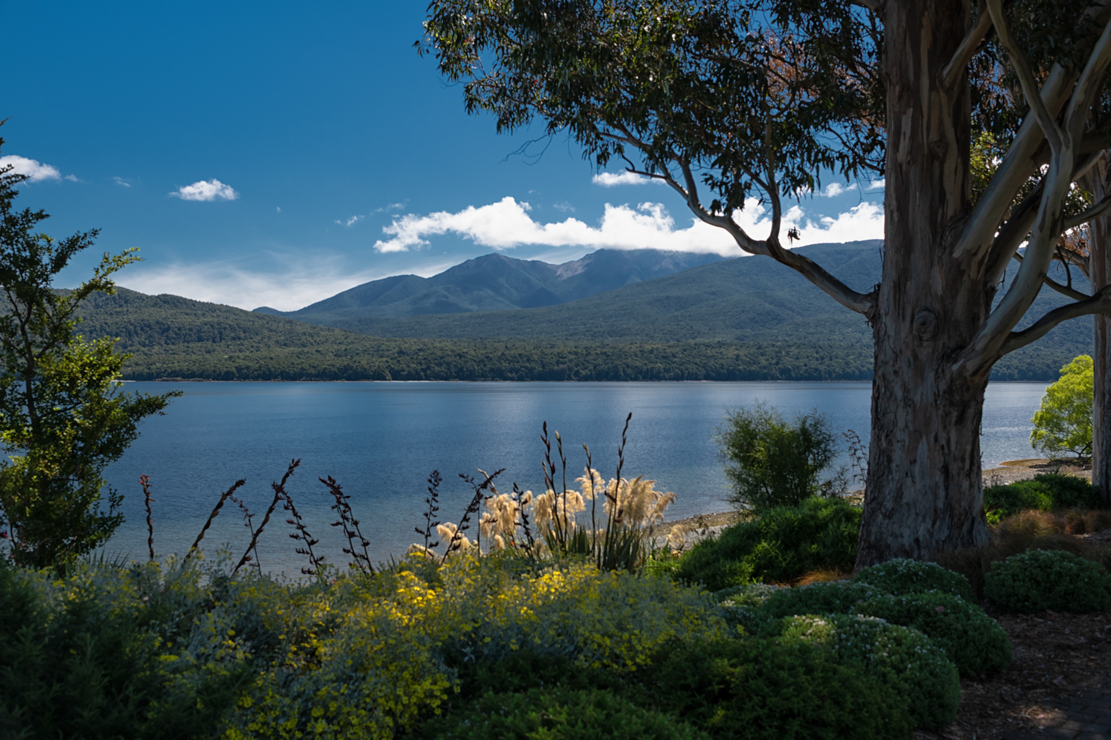Lake Te Anau Foto & Bild | australia & oceania, new zealand, southland ...