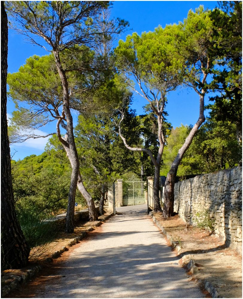 L'allée photo et image | france, nature, world Images fotocommunity