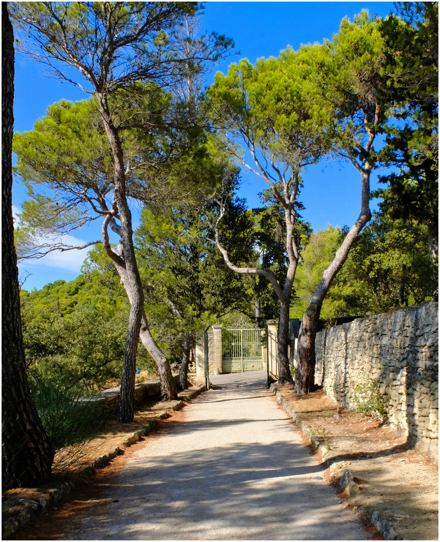 L'allée photo et image | france, nature, world Images fotocommunity