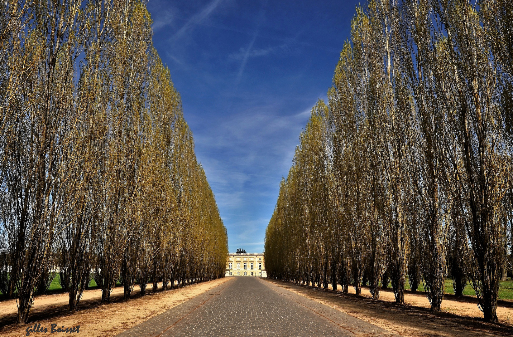 l'allée de la reine photo et image | france, world, versailles Images ...