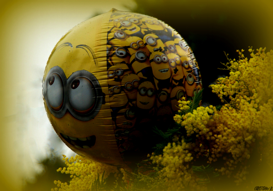 L'ami mosa... photo et image | nature, fleurs, special Images fotocommunity