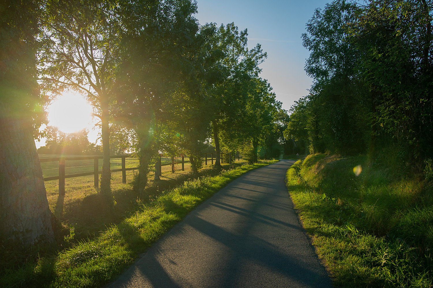 "Land-Straße" Foto & Bild | france, world, bäume Bilder auf fotocommunity
