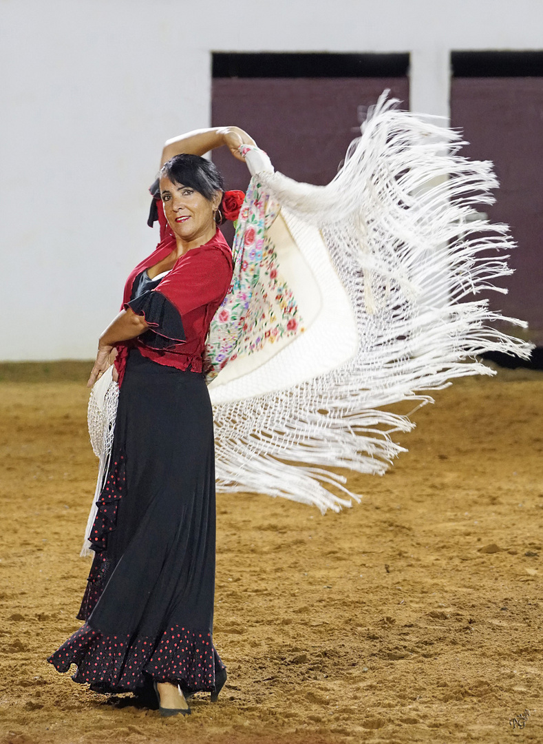 L'Andalouse.... elle danse ....... photo et image | portraits ...