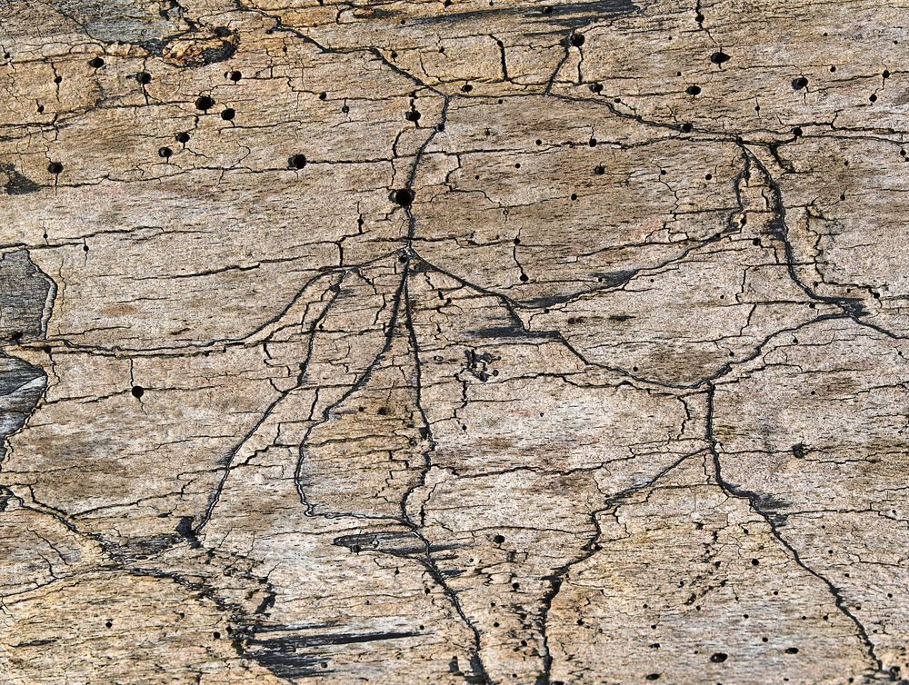 Landkarte der Natur . . . Foto & Bild | archiv projekte naturchannel ...