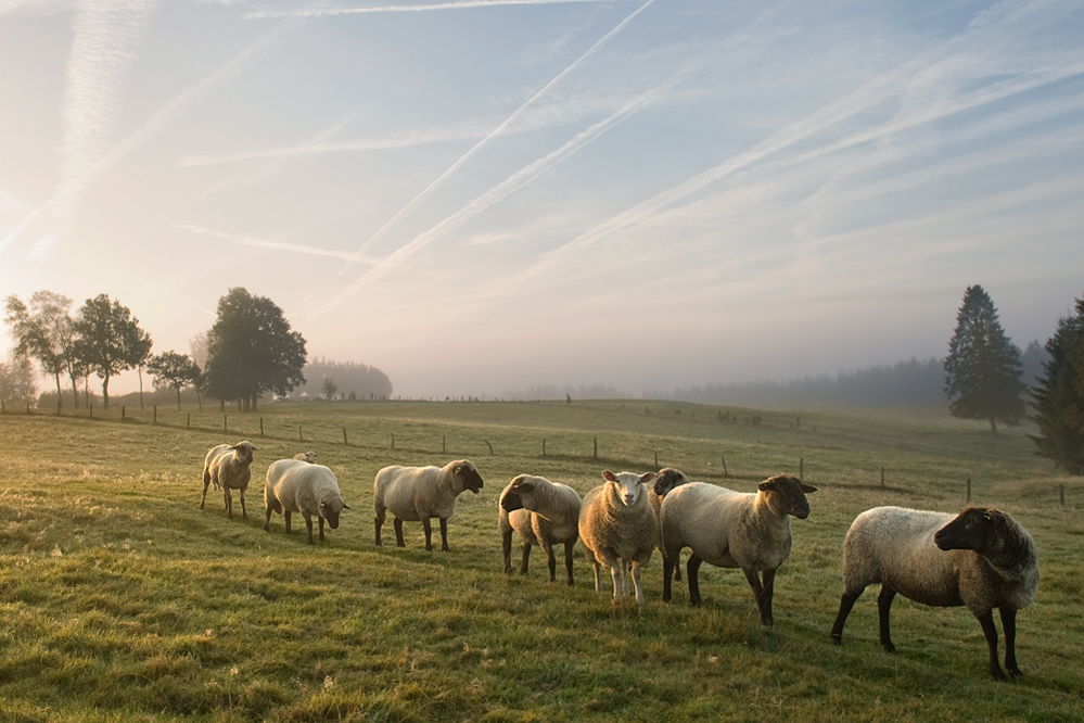 Landleben Foto & Bild | natur, wetter, stimmungen Bilder auf fotocommunity
