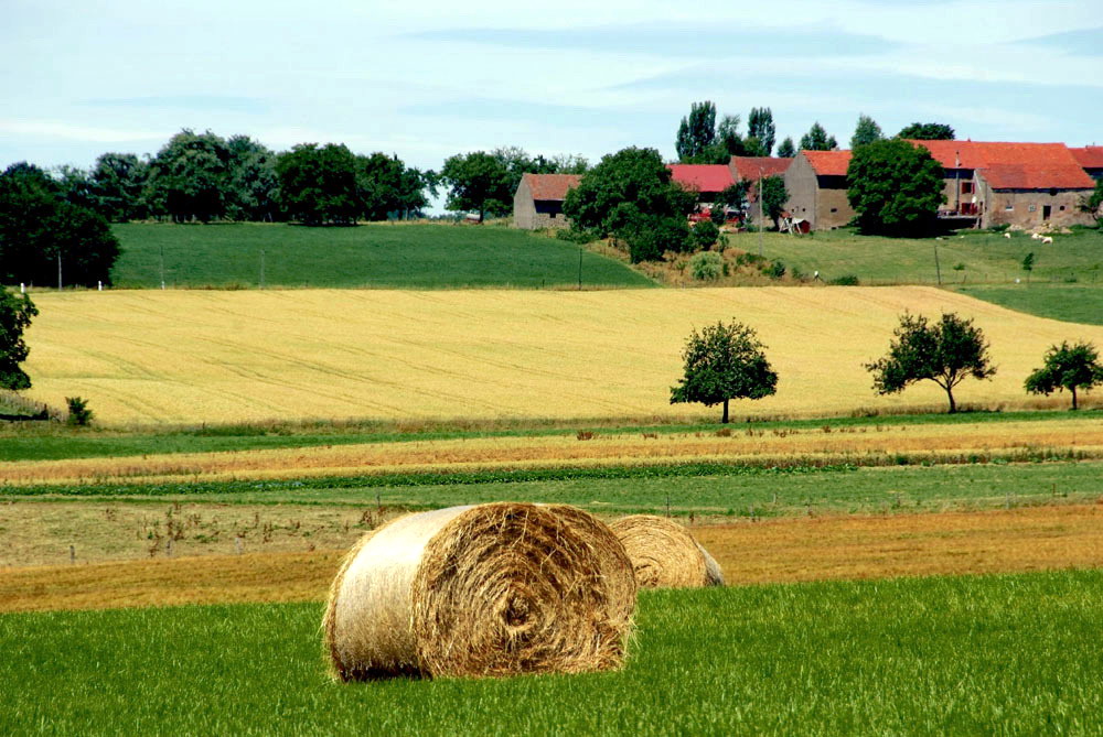 Landleben... Foto & Bild | deutschland, europe, saarland Bilder auf ...