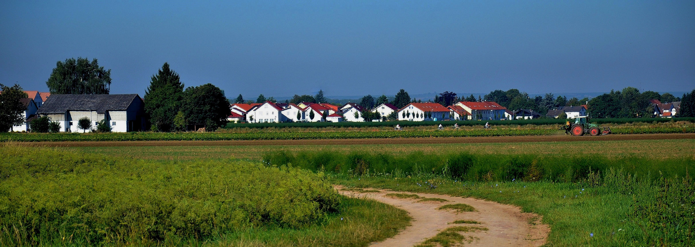 LANDL(i)EBEN Foto & Bild | bäume, felder, landschaft Bilder auf ...