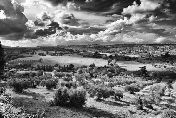 Campagna Immagini e foto
