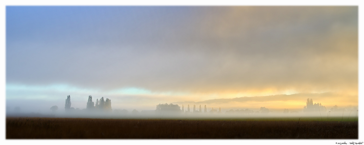 landscape perception #024 - R h e i n d e l t a m i s t y m o o d Foto ...