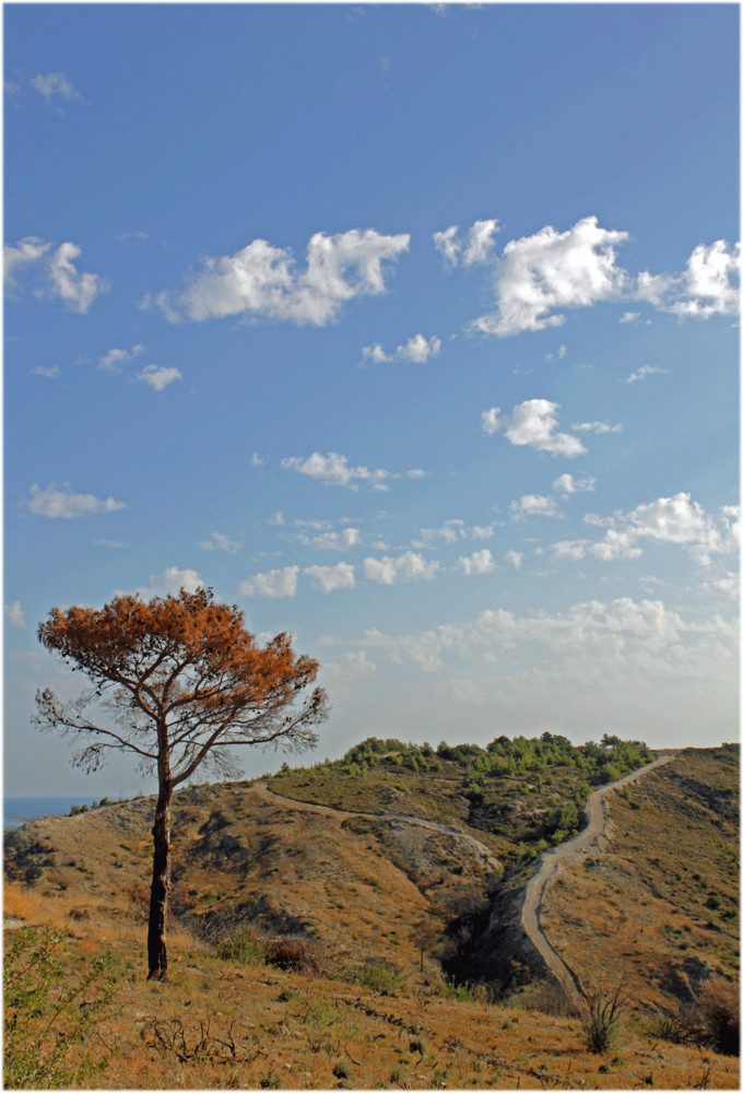 Landscape snapshot Foto & Bild | europe, greece, rhodos Bilder auf ...