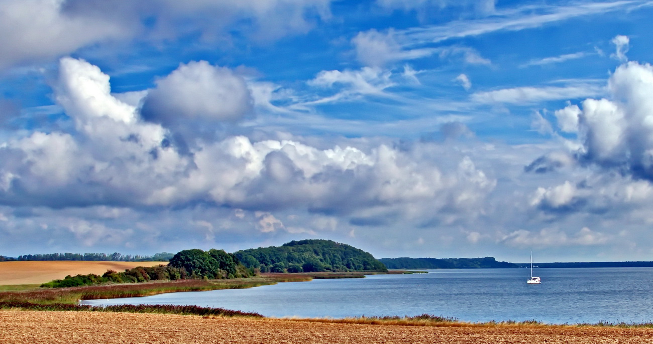 Landschaft am Bodden Foto & Bild | wasser, wolken, feld Bilder auf ...