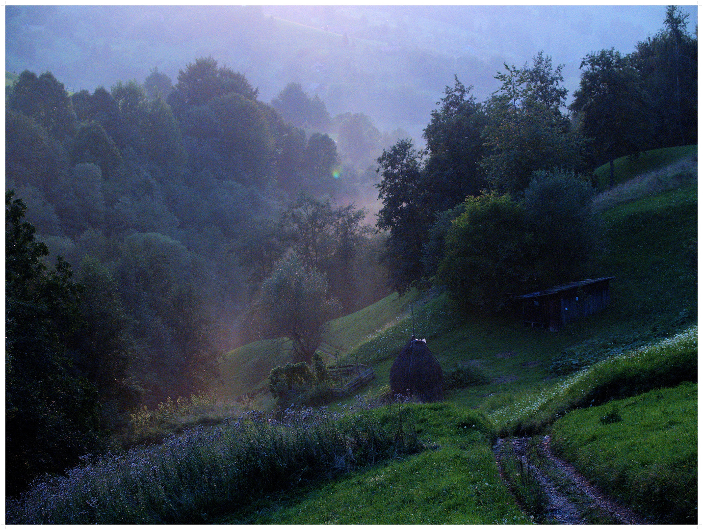 Landschaft bei Bran / Transsilvanien Foto & Bild | landschaft, wald ...