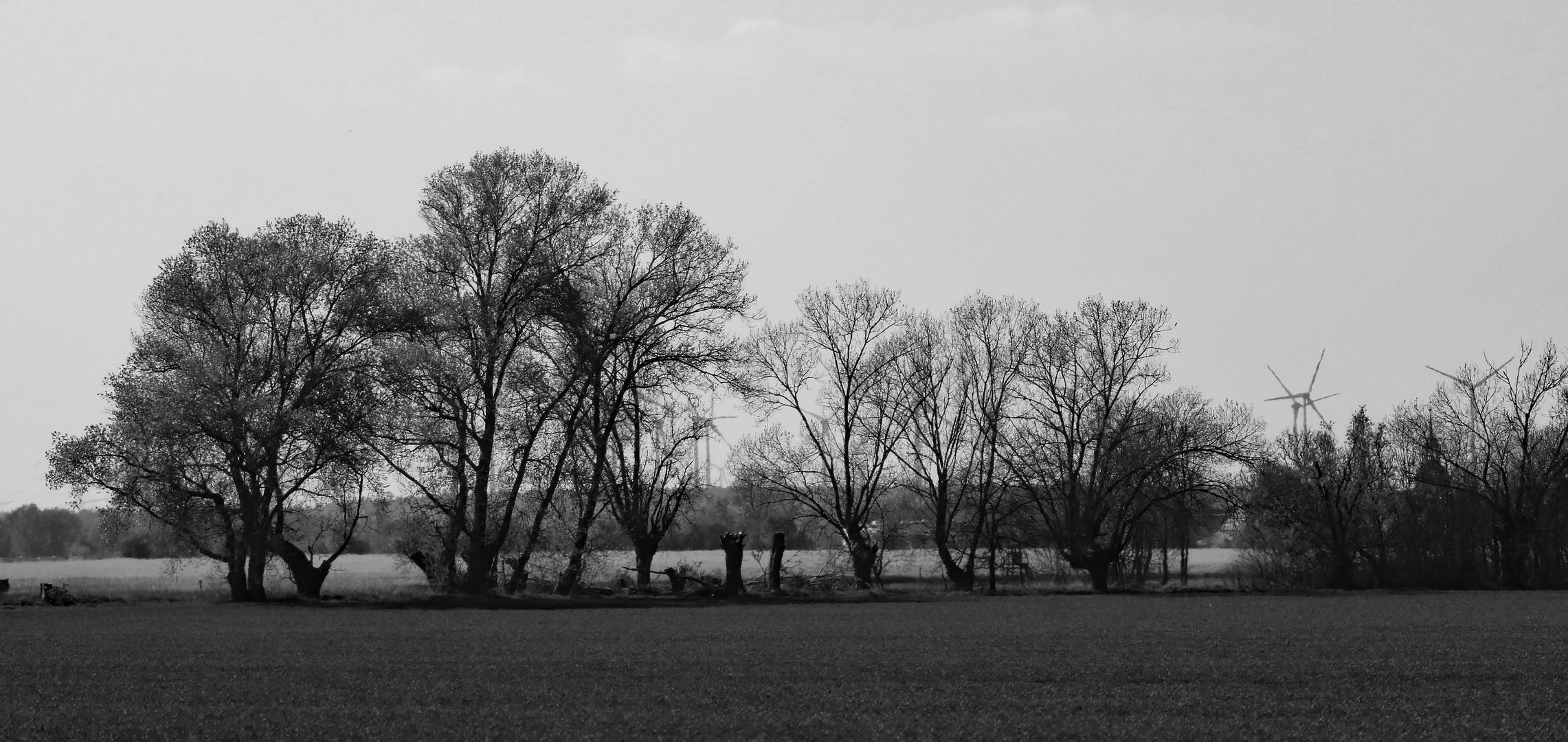 Landschaft der Altmark Foto & Bild | deutschland, europe, sachsen ...
