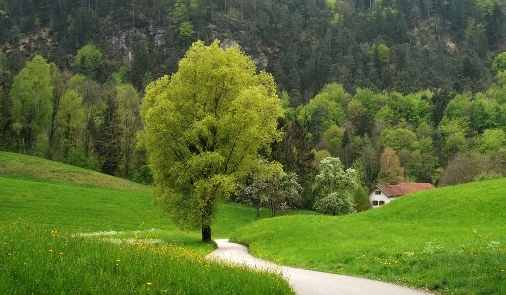 Landschaft Foto And Bild World Bäume Baum Bilder Auf Fotocommunity