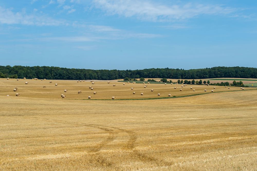 Landschaft im August Foto & Bild | landschaft, natur Bilder auf ...