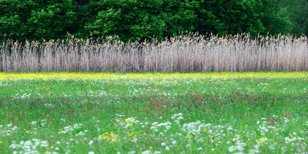 Landschaft im Mai # DSC2090 Foto & Bild | deutschland, europe, hessen ...