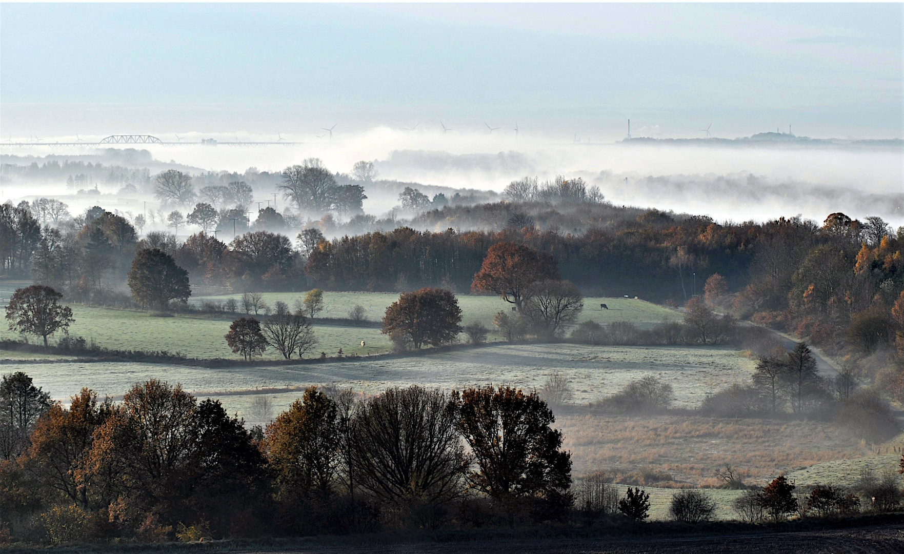 Landschaft im Nebel Foto & Bild | deutschland, europe, schleswig ...