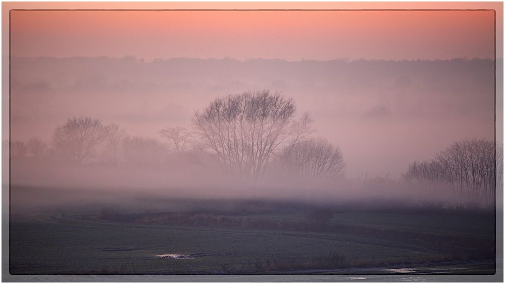 Landschaft im Nebel Foto & Bild | felder, natur, landschaft Bilder auf fotocommunity