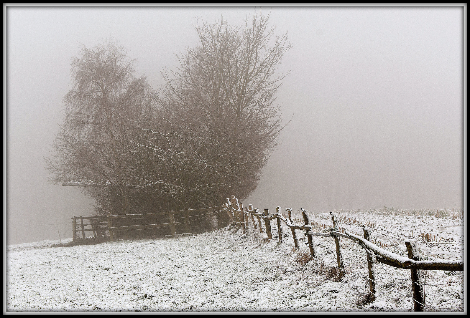 Landschaft im Nebel. Foto & Bild | deutschland, europe, nordrhein- westfalen Bilder auf ...