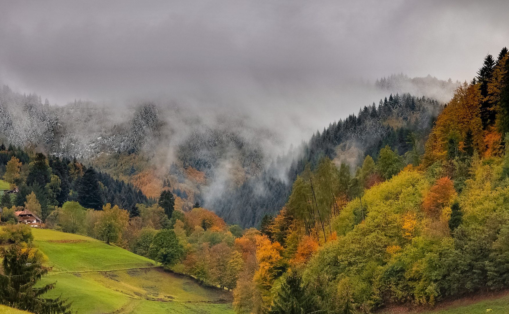Landschaft im Schwarzwald Foto & Bild | world, natur, landschaft Bilder ...