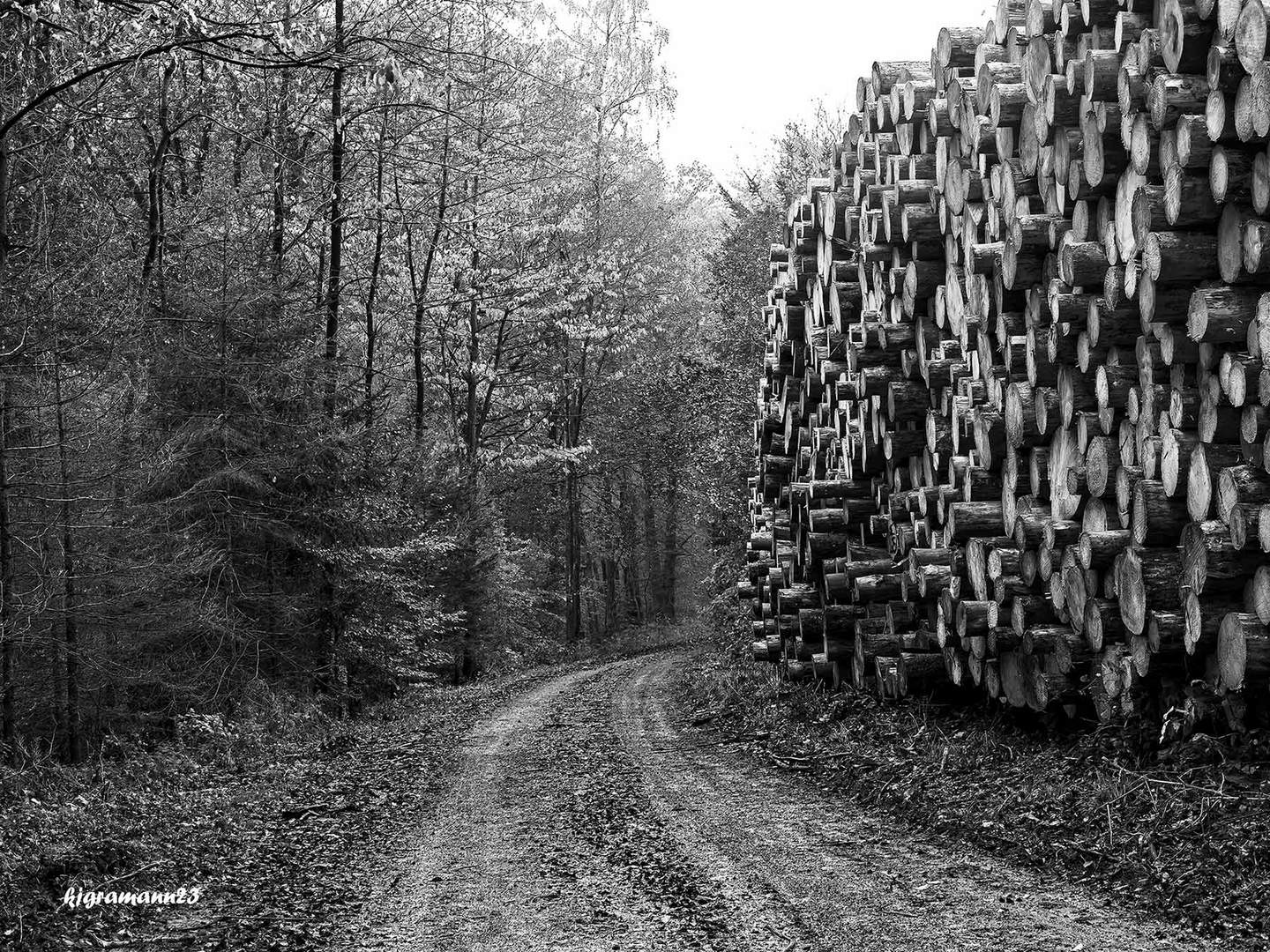 landschaft in sw.... Foto & Bild | spezial, natur, landschaft Bilder ...