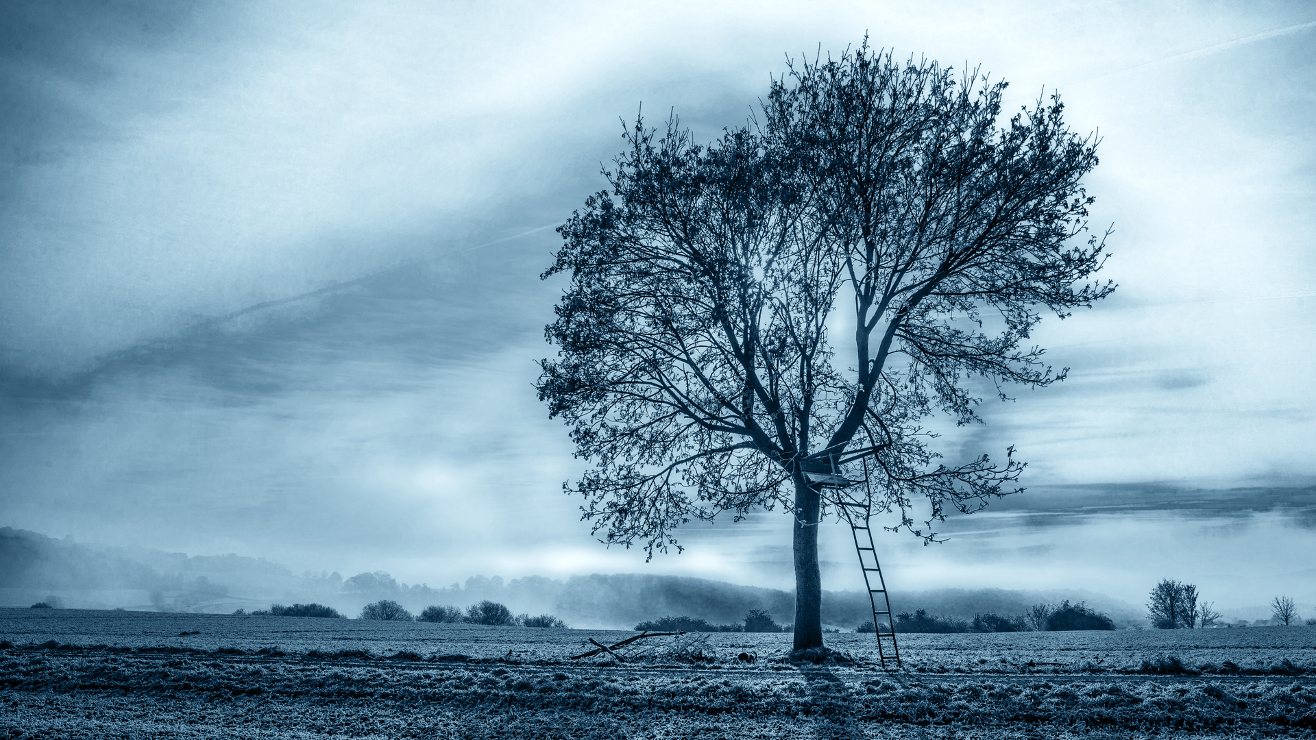 Landschaft mit Baum Foto & Bild | landschaft, fotokunst, monochrome ...