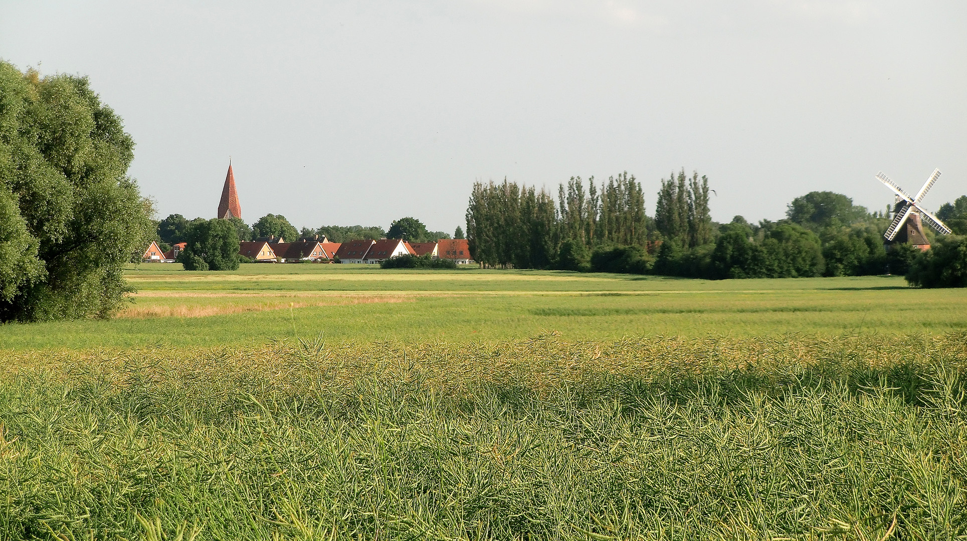 Landschaft MV 47 Foto & Bild | landschaft, jahreszeiten, sommer Bilder ...