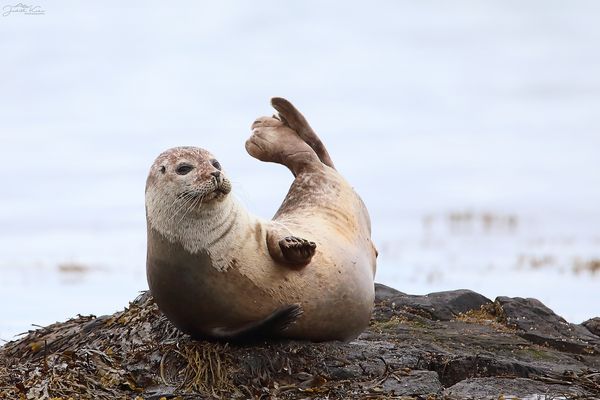 Scandinavia Bilder & Fotos