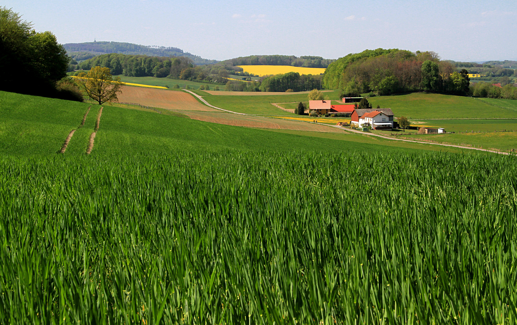 Landwirtschaft in Lippe Foto & Bild | lippe, natur, landschaft Bilder ...