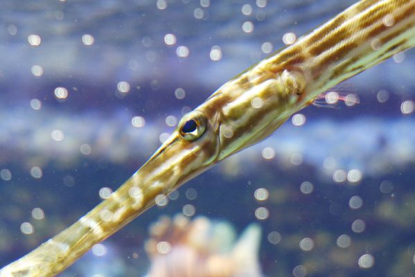 Oliver Wöhler - Fotos & Bilder - Fotograf aus Hamburg, Deutschland ...