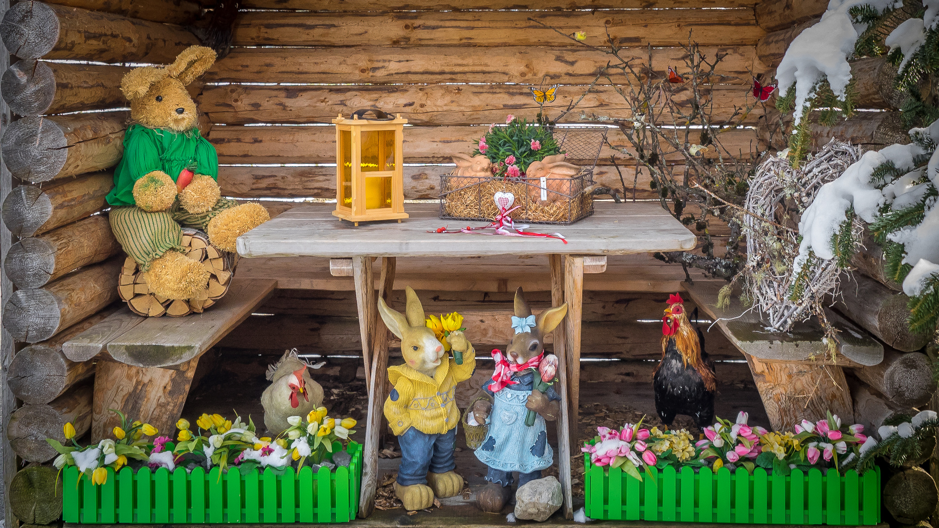 Langohr Foto & Bild | stillleben, kunstfotografie & kultur, gratulation und feiertage Bilder auf ...