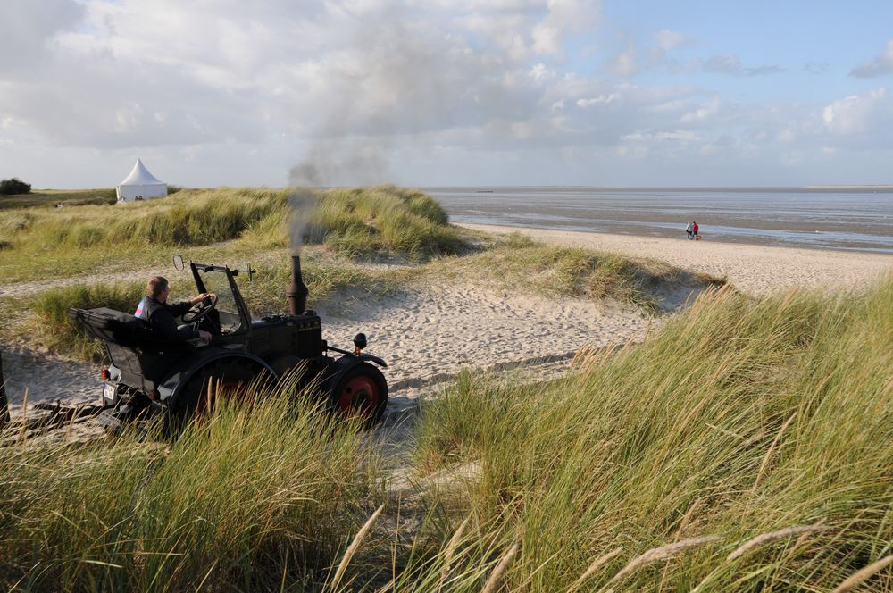 Lanz in den Dünen Foto & Bild | landschaft, natur Bilder auf fotocommunity