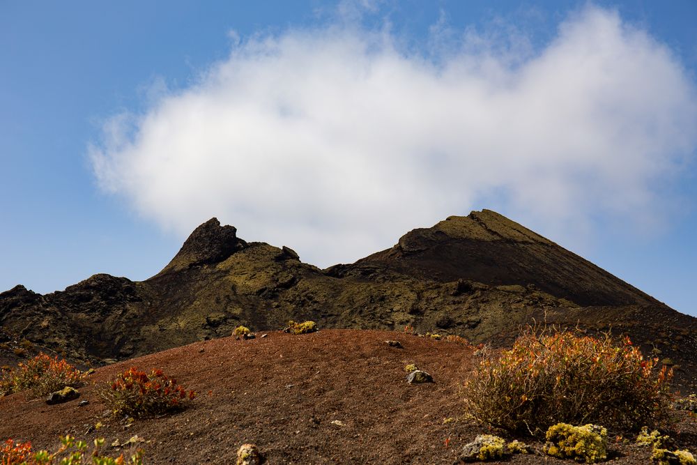 Lanzarote 2022/23 Foto & Bild | europe, canary islands die kanaren ...