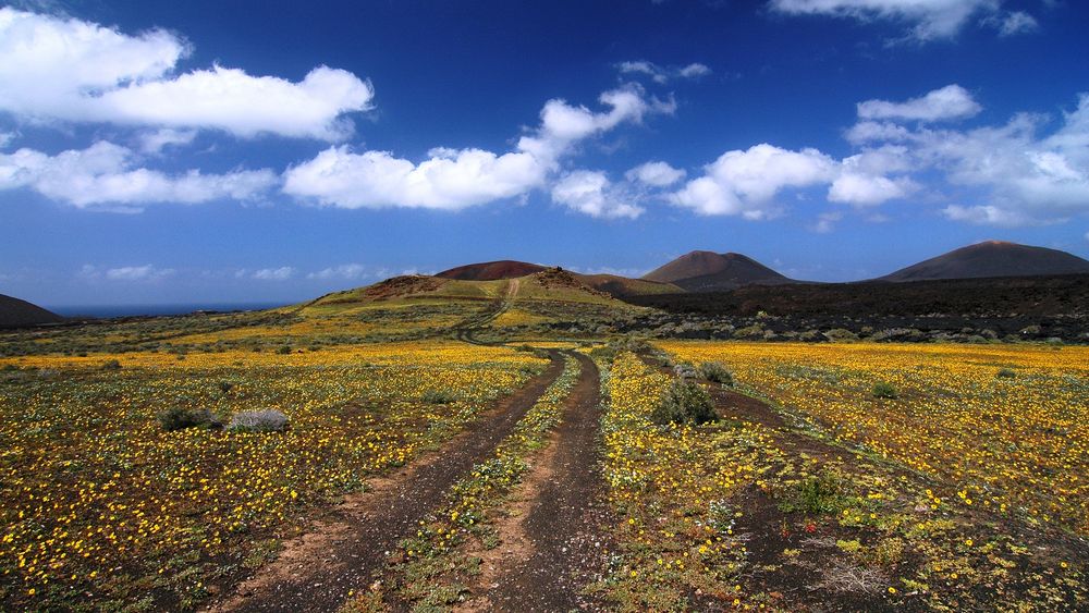 Lanzarote Foto & Bild | europe, canary islands die kanaren, spain ...