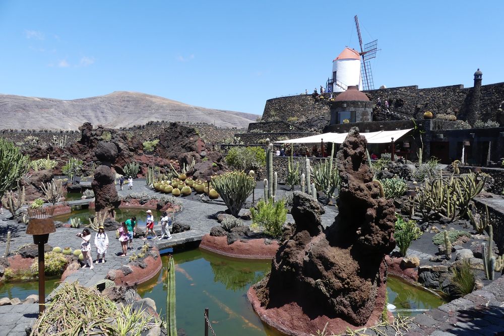 Lanzrote 2022 - Besuch im Jardin de Cactus (2) Foto & Bild | europe ...